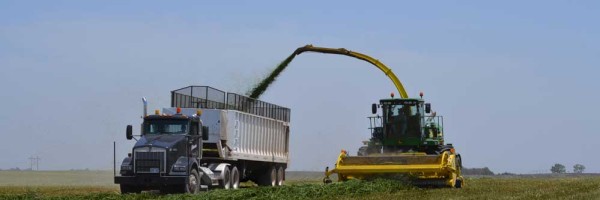 Consider Haylage for First Cutting Alfalfa - Crop Quest