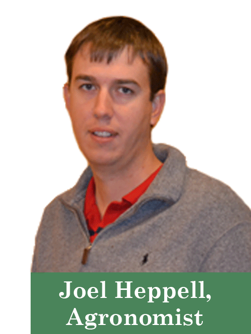 Farming Down Under - Crop Quest