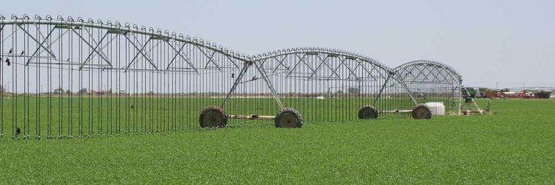 Fertility Requirements of Alfalfa Production - Crop Quest