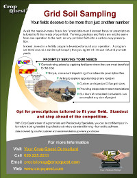 Grid Sampling - Crop Quest