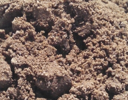 EC & EM Soil Mapping: It Starts with the Soil - Crop Quest