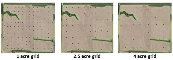 Grid Sampling - Crop Quest