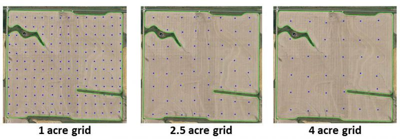 Grid Sampling - Crop Quest