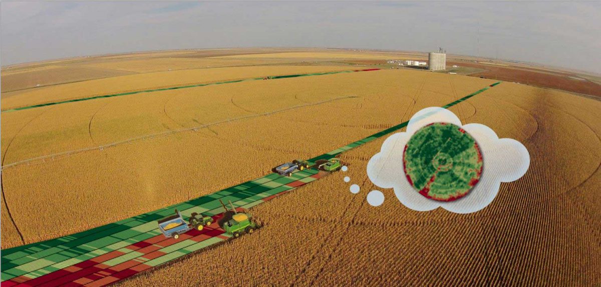 Yield Analysis - Crop Quest