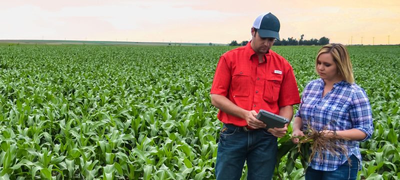 Digital Farm Consulting: Remote Farm Advisor Services - Crop Quest