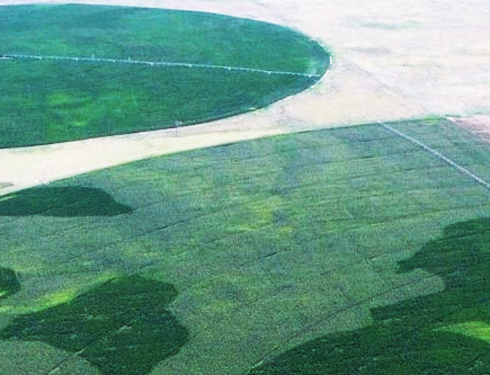 Top Five Reasons to Grid Sample - Crop Quest