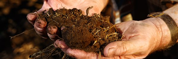 Why Sampling Soil Can Be Important For Yield - Crop Quest