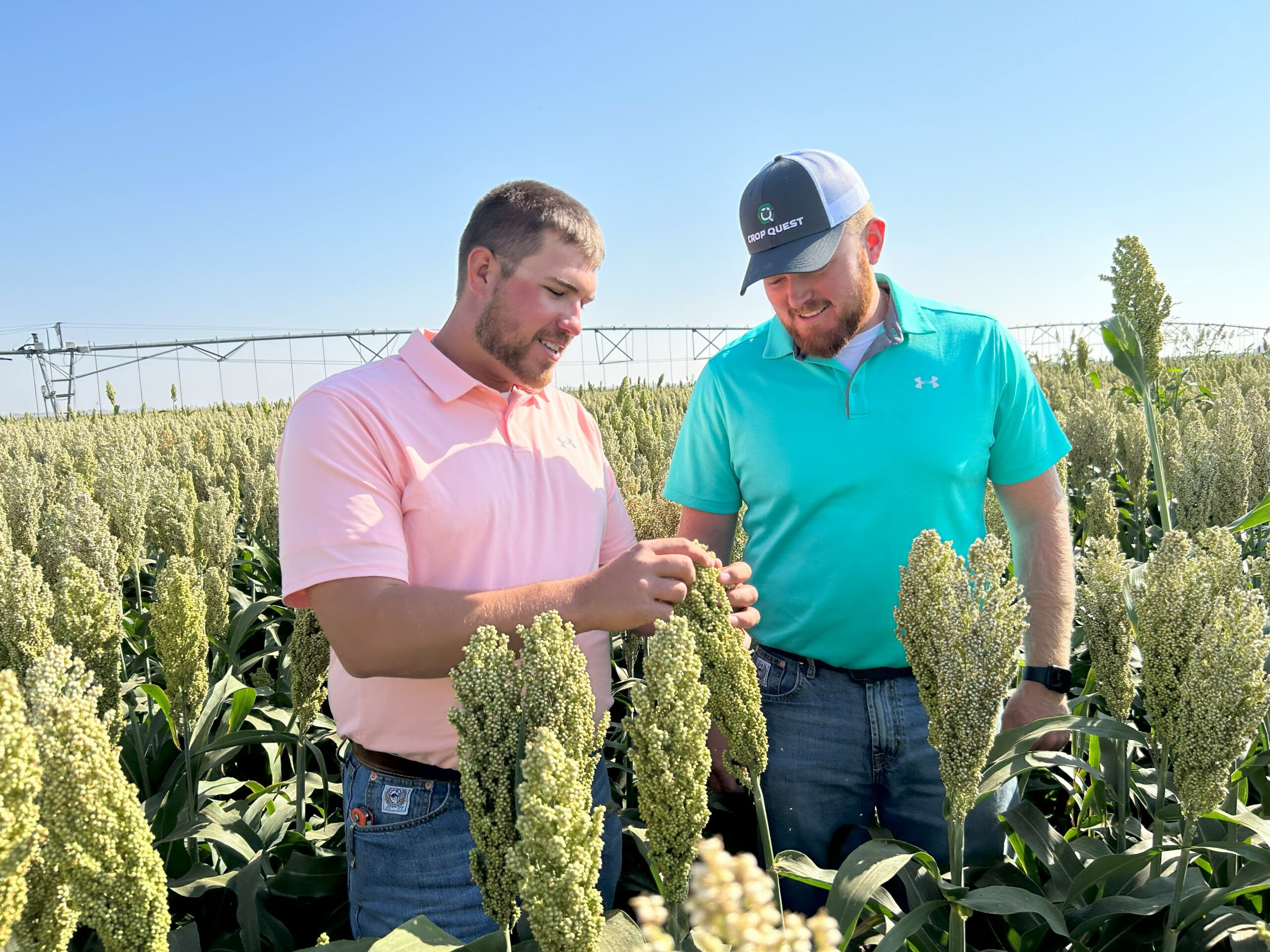 Management Zones in Precision Agriculture - Crop Quest