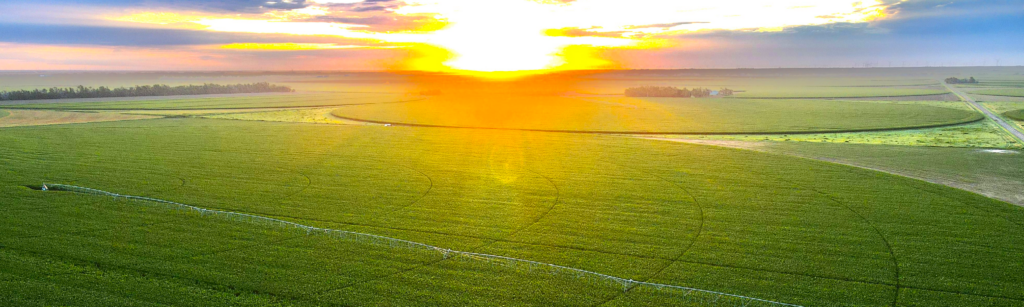 Digital Farm Consulting: Remote Farm Advisor Services - Crop Quest