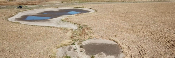 Optimize Field Drainage for Better Crop Yields