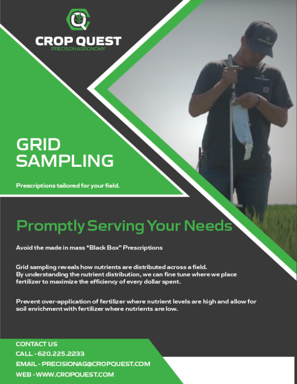 Grid Sampling - Crop Quest