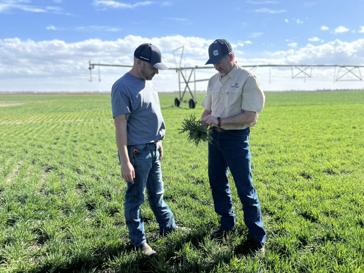 Digital Farm Consulting: Remote Farm Advisor Services - Crop Quest