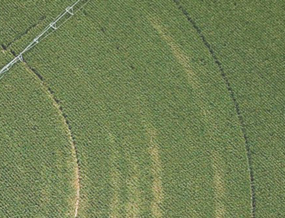 Top Five Reasons to Grid Sample - Crop Quest