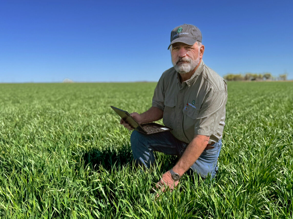 Montezuma Division - Crop Quest