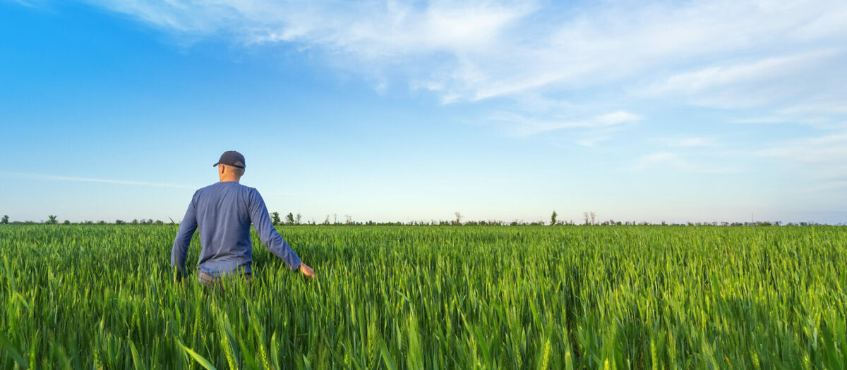 Crop Quest - Your Crop Consultant & Farm Advisor