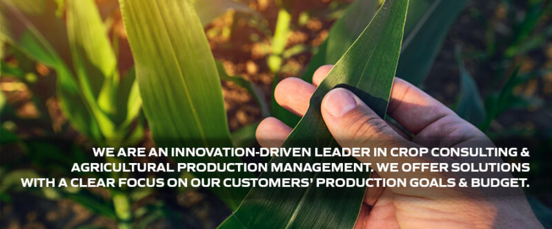 Crop Quest - Your Crop Consultant & Farm Advisor